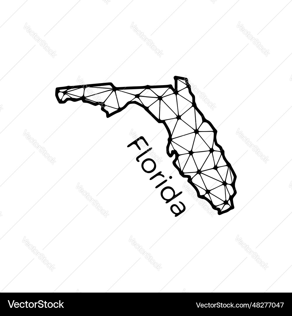 Florida state map polygonal made of lines Vector Image