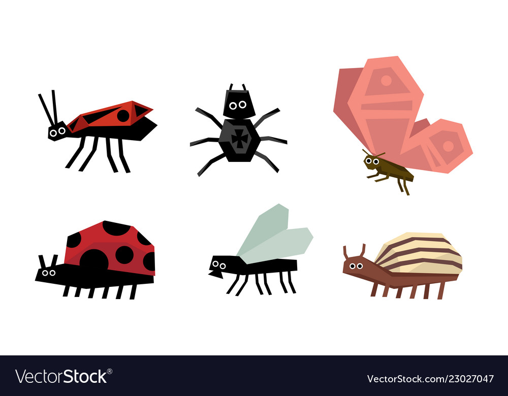 Geometric insects set spider bug ladybug Vector Image