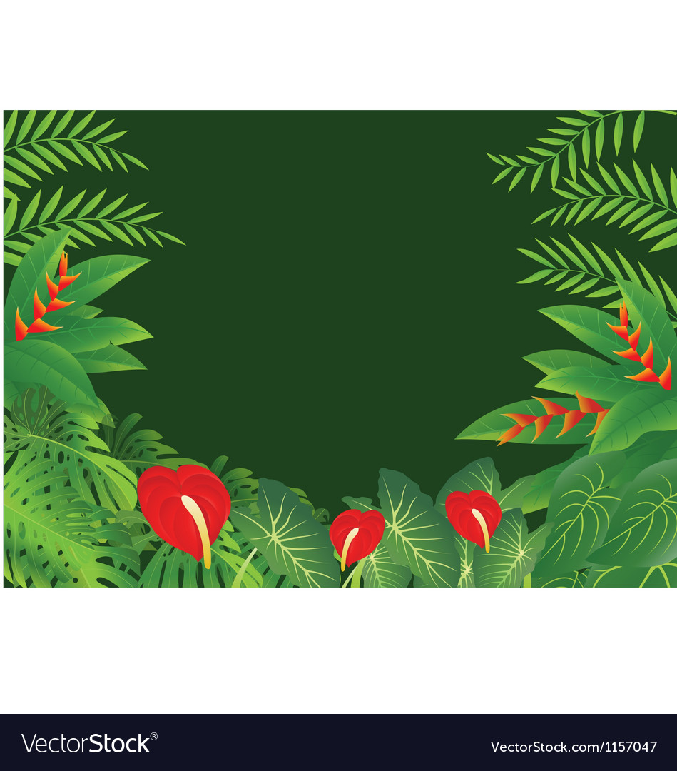 Tropical forest background Royalty Free Vector Image