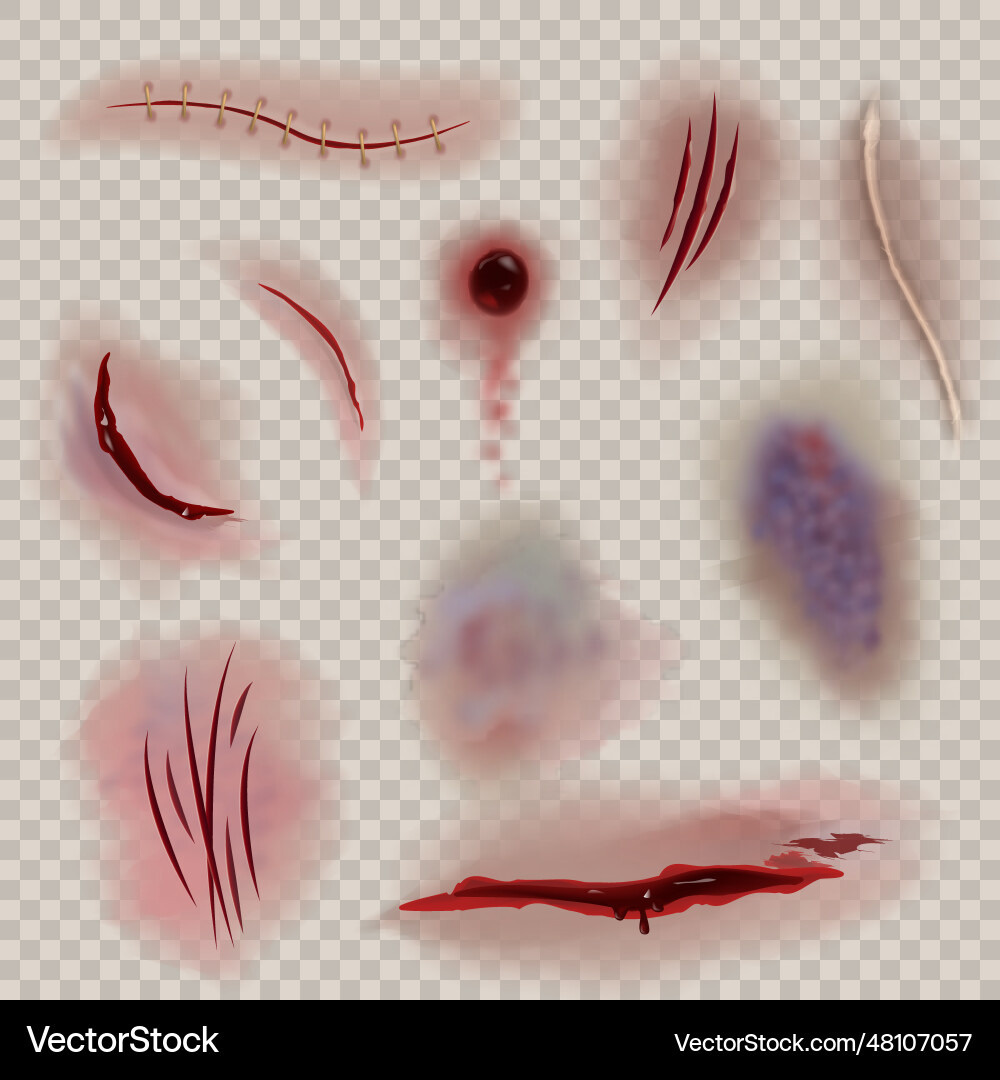 Bloody wounds realistic various scars wound Vector Image