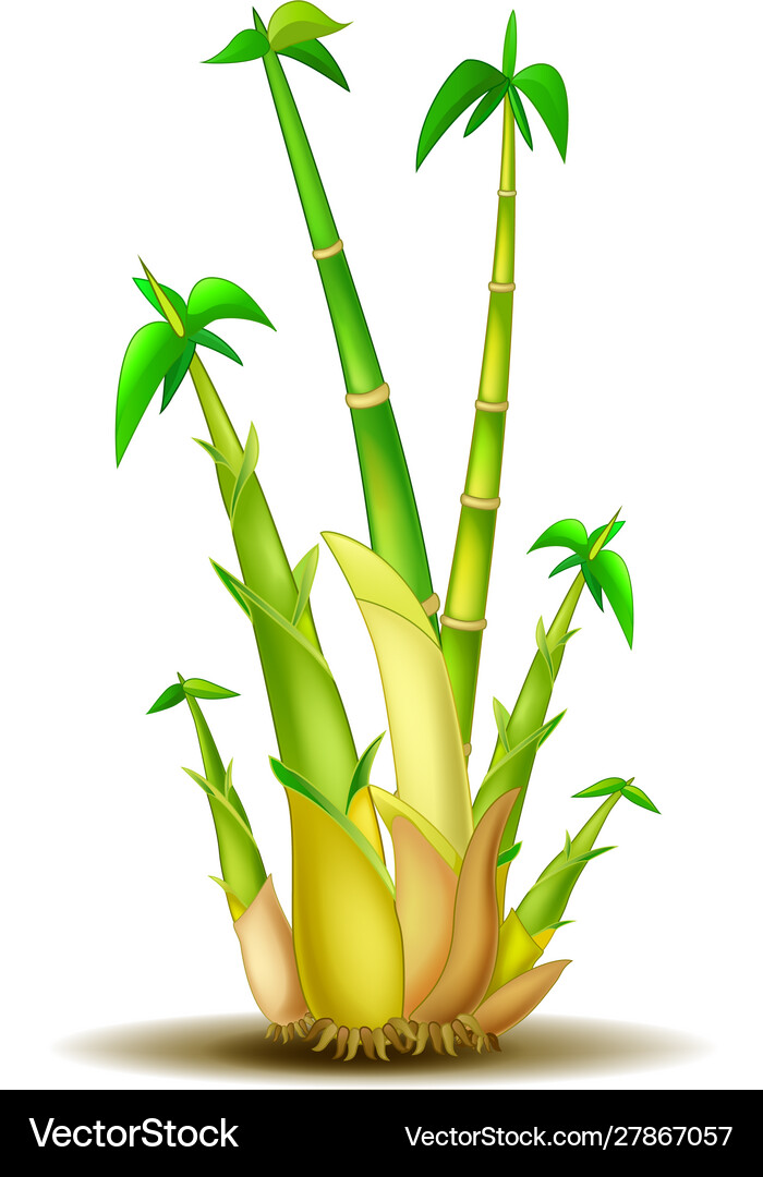 Cool green yellow bamboo tree cartoon Royalty Free Vector