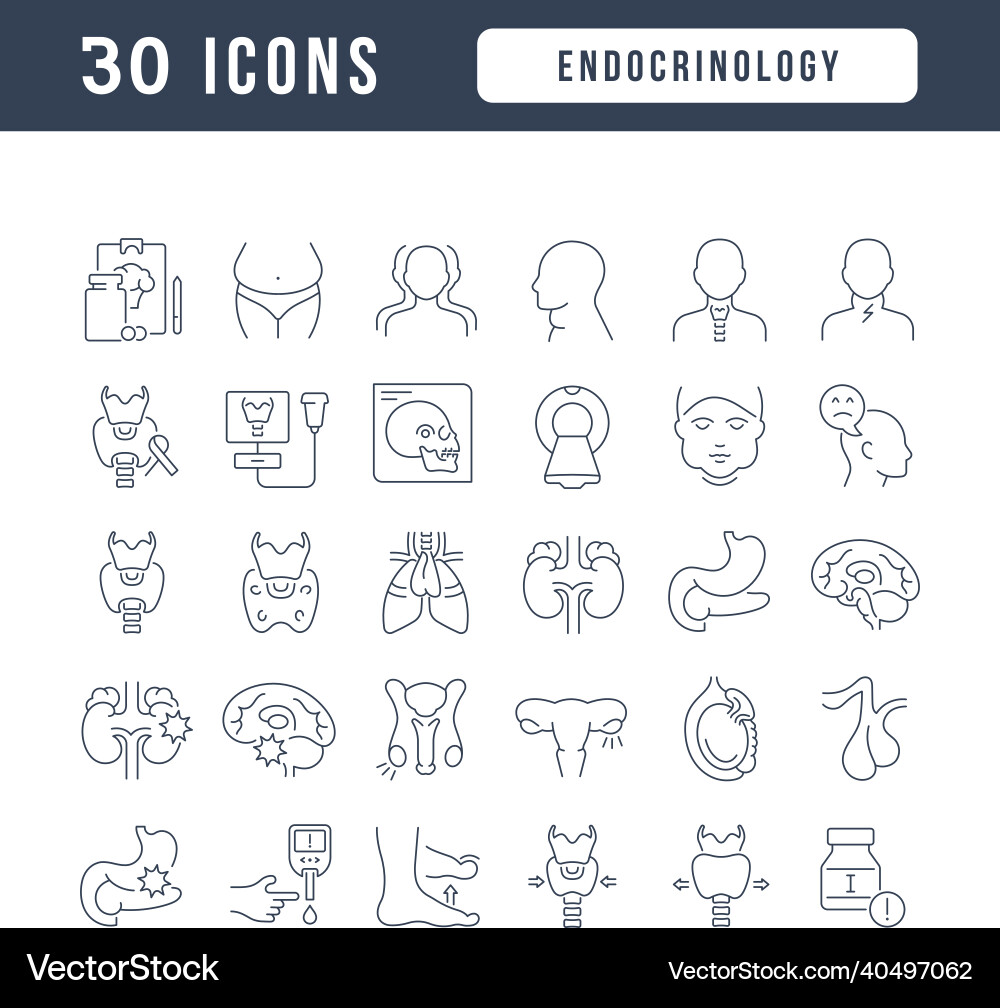 Set of linear icons endocrinology Royalty Free Vector Image