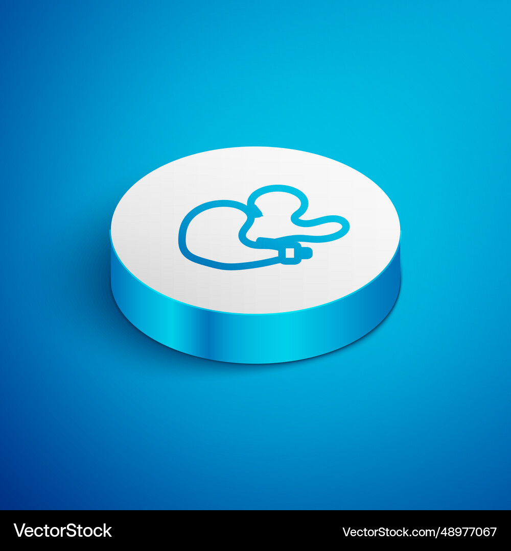 Isometric line spanish wineskin icon isolated Vector Image