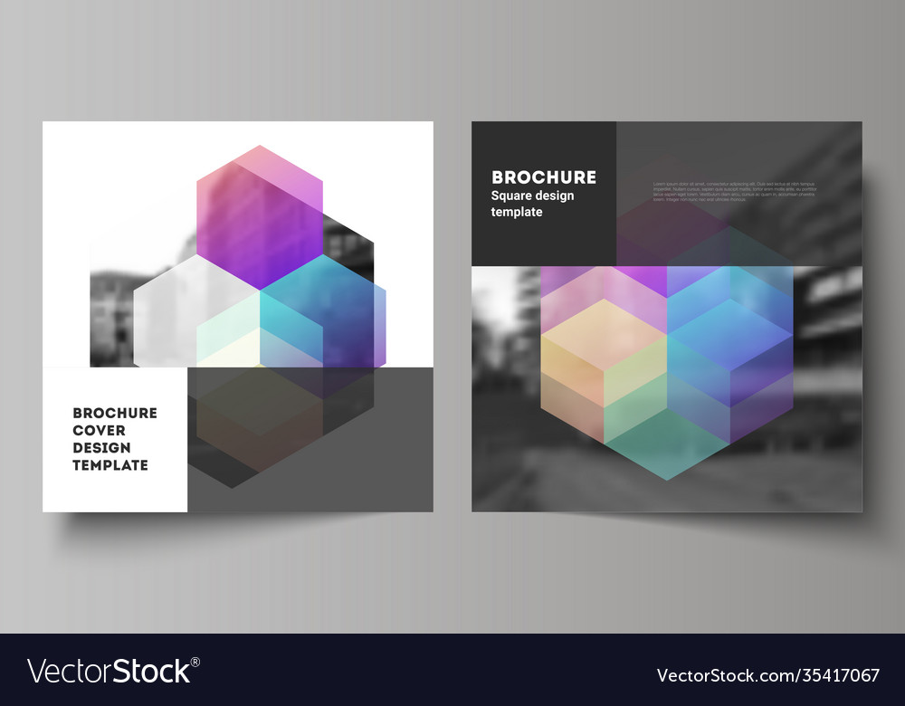 Layout two square format covers design Royalty Free Vector