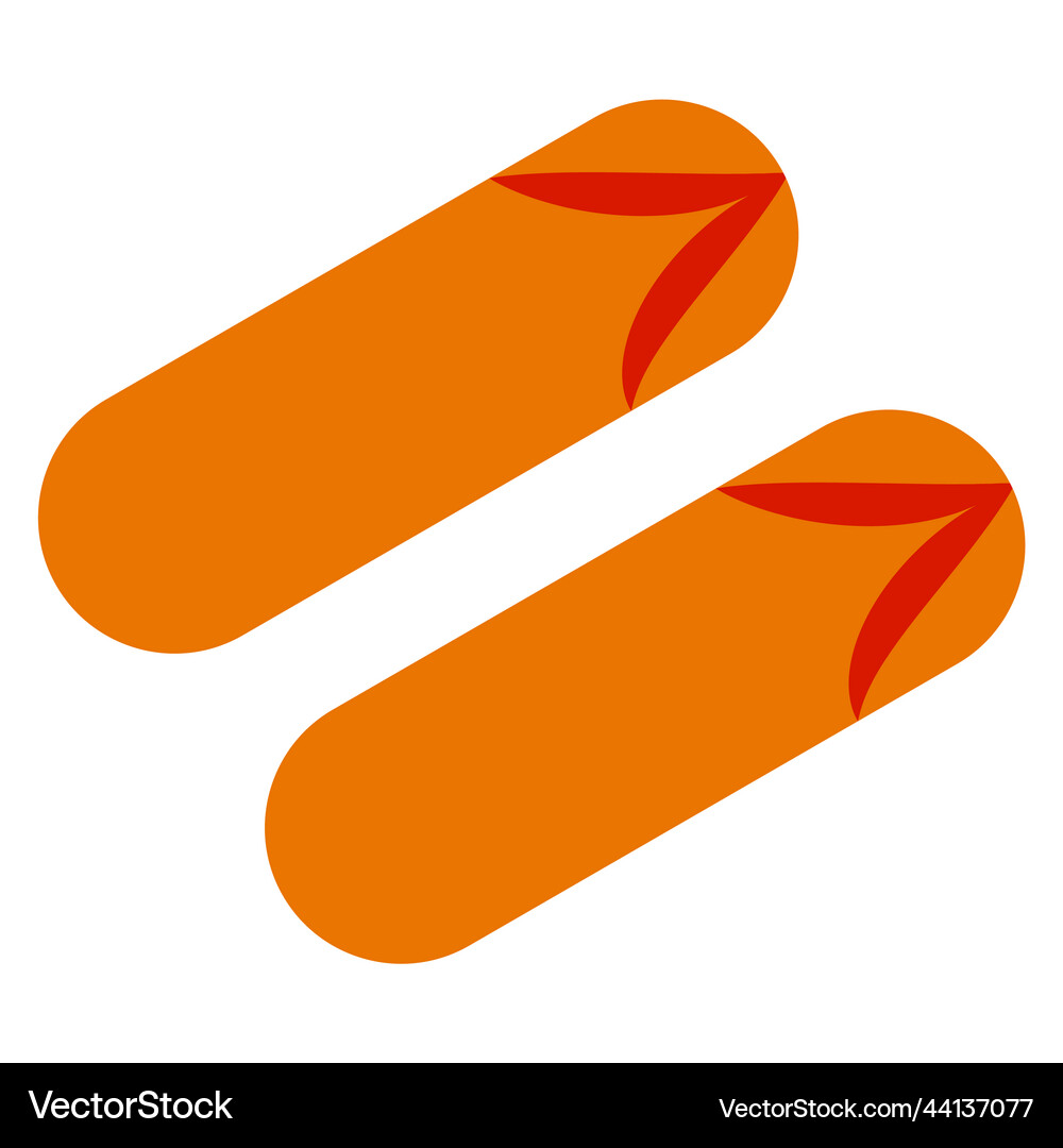 Beach slippers in cartoon flat style isolated Vector Image