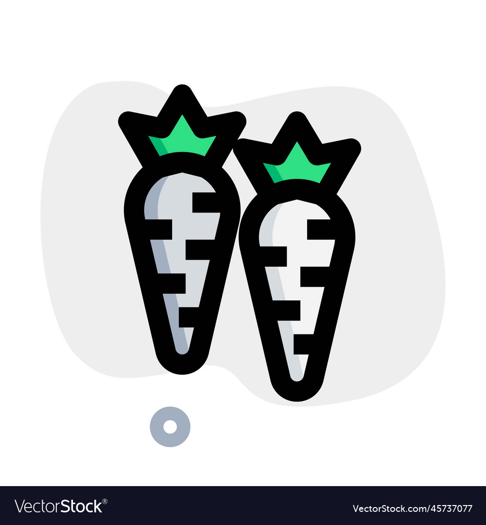 Carrots flavorful healthy root vegetable Vector Image