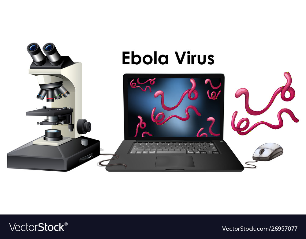 Close up isolated object virus ebola Royalty Free Vector Close up isolated object virus ebola Royalty Free Vector