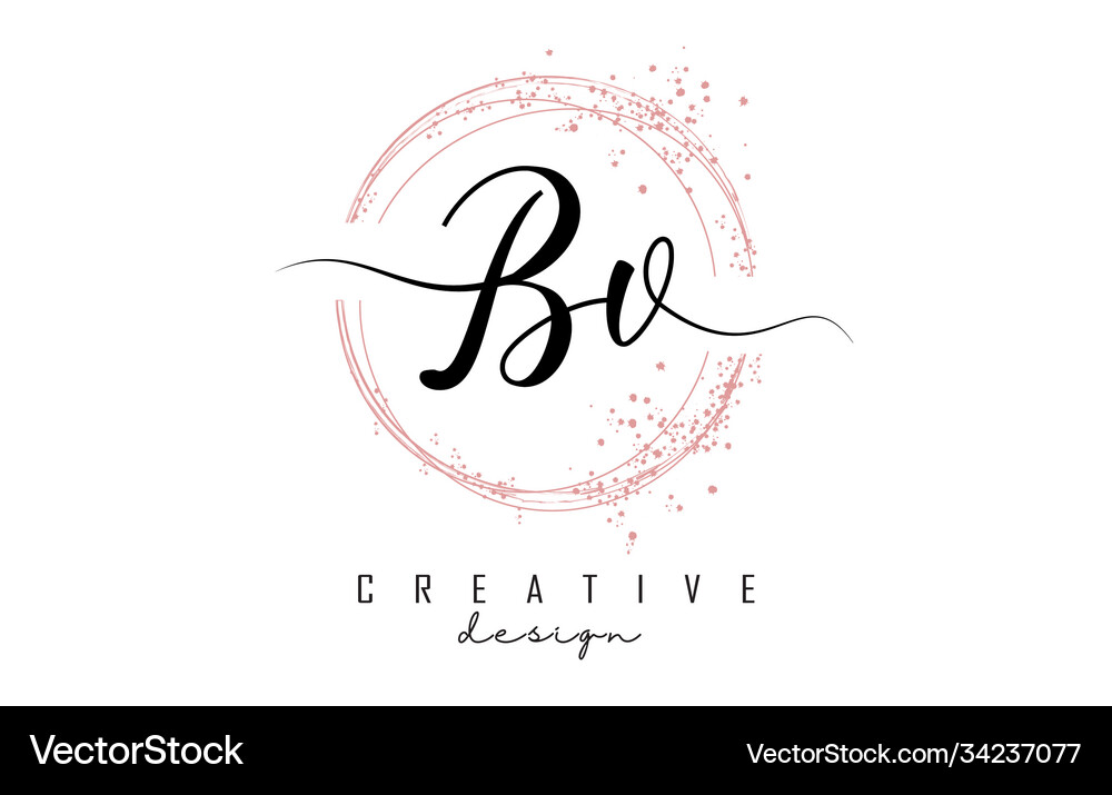 Handwritten bv b v letter logo with sparkling Vector Image