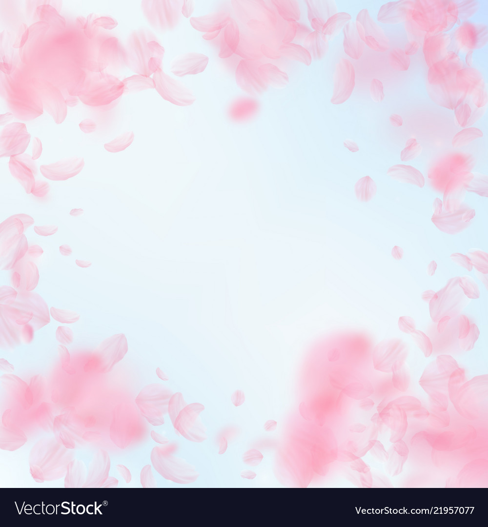 Sakura petals falling down Royalty Free Vector Image