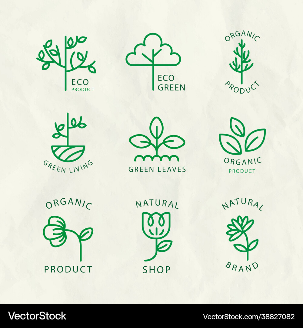 Line eco logo template for branding with text set Vector Image
