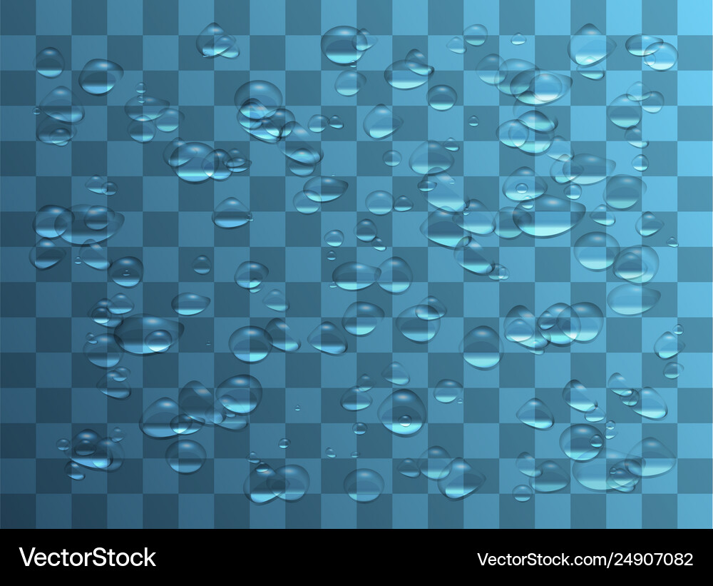 Water drops raindrops or showers condensation Vector Image