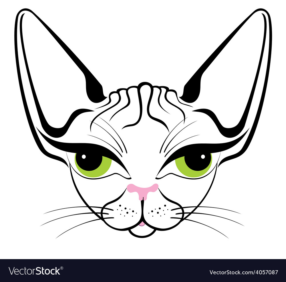 Cat Royalty Free Vector Image - VectorStock