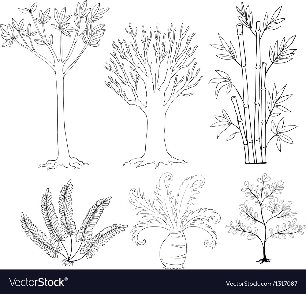 Doodle set of plants Royalty Free Vector Image