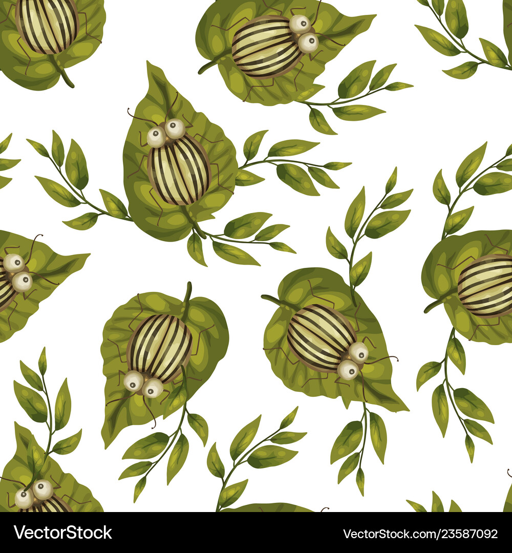 Seamless pattern with colorado beetle Royalty Free Vector