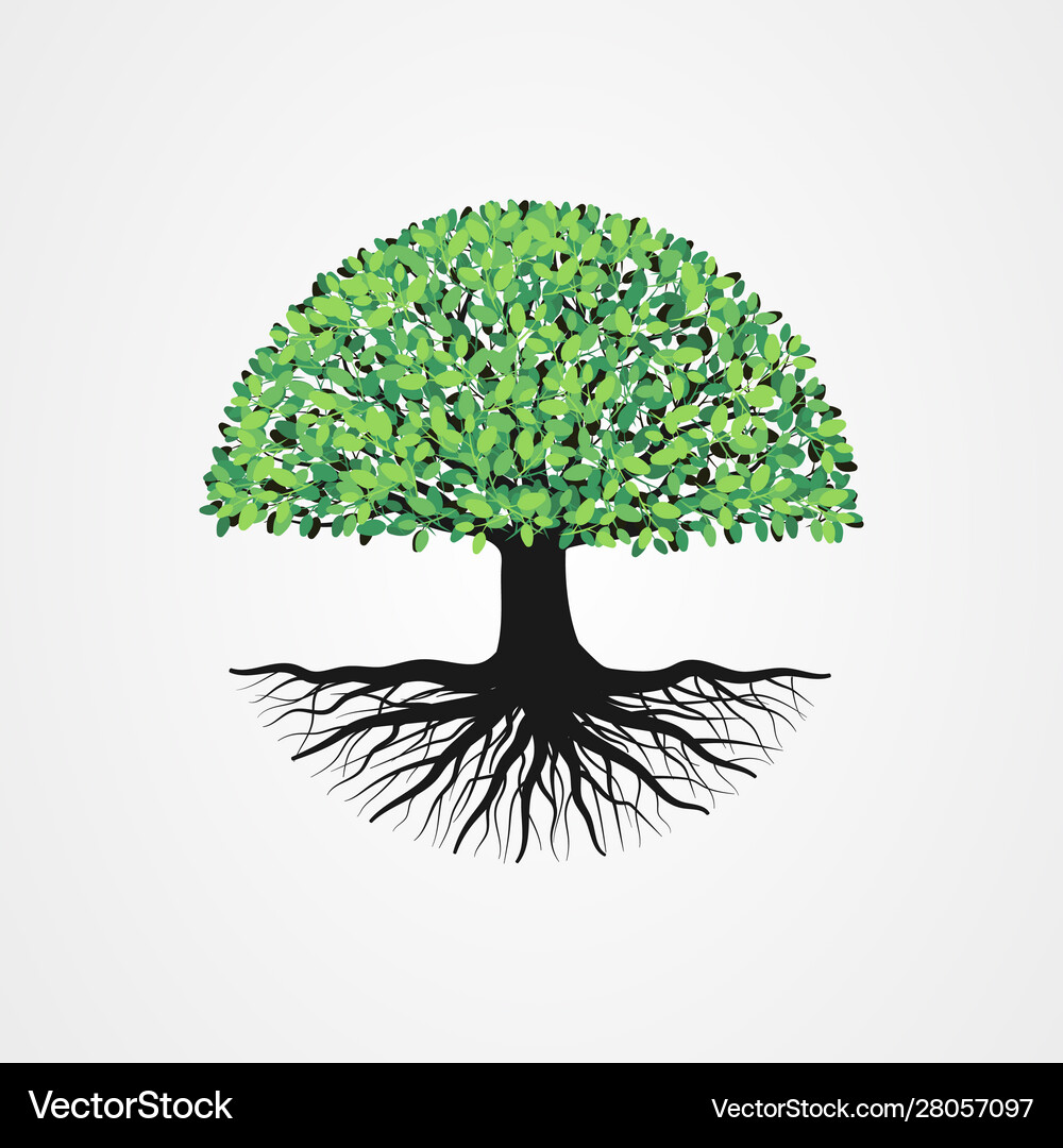Abstract tree with roots and green leaves Vector Image