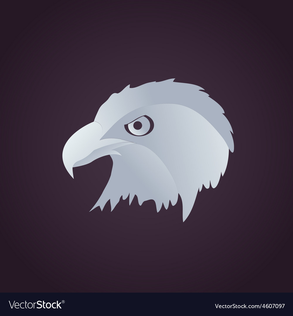 Hawk head Royalty Free Vector Image - VectorStock