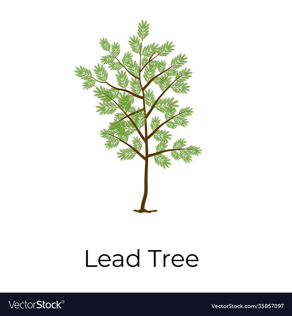 Lead tree Royalty Free Vector Image - VectorStock