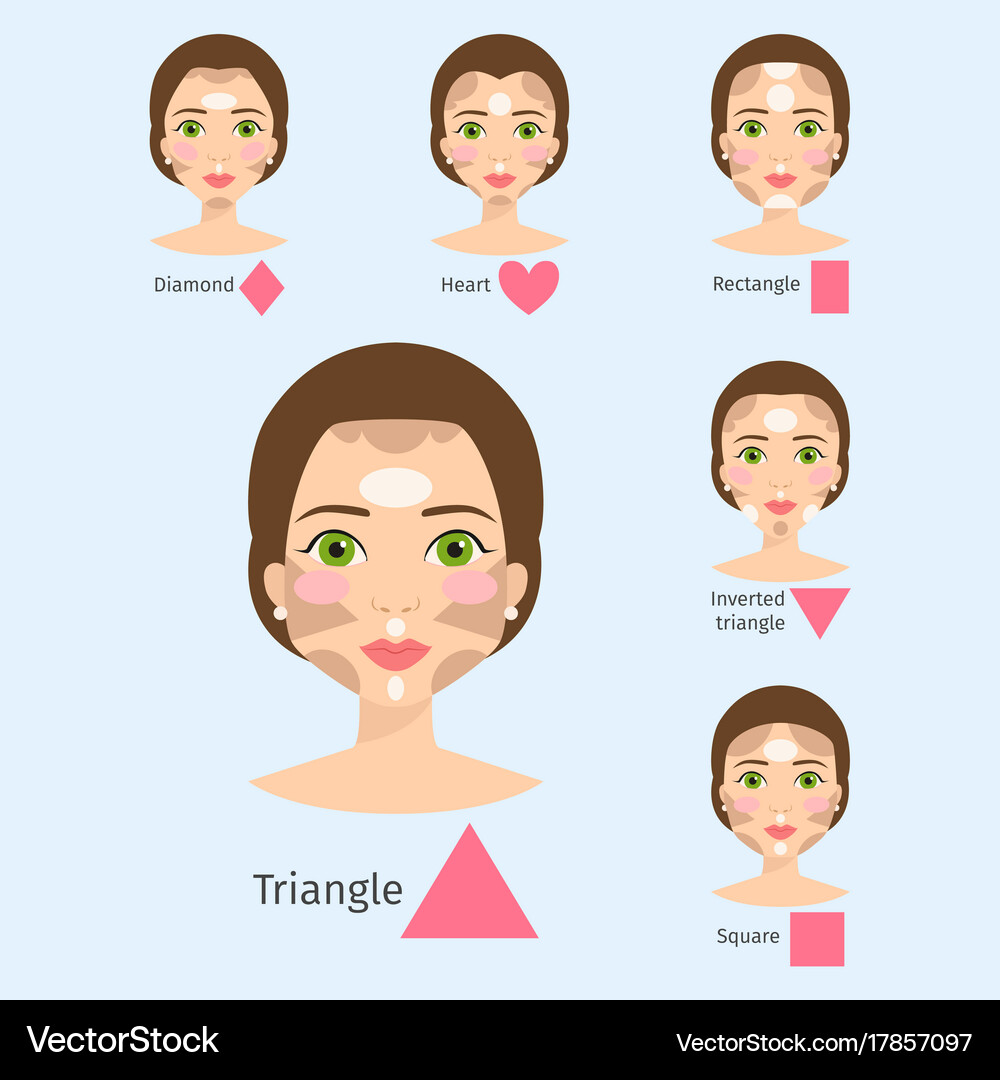 Set of different woman face types Royalty Free Vector Image