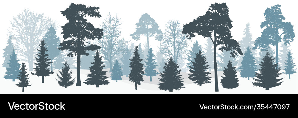 Winter snowy forest trees spruces pines oak Vector Image