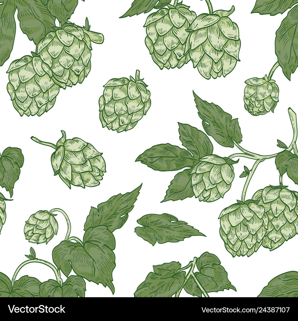 Natural seamless pattern with hop flowers on white