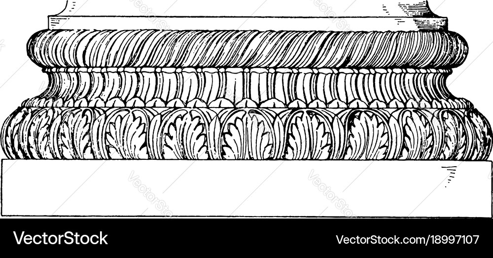 Roman base museum vintage engraving Royalty Free Vector