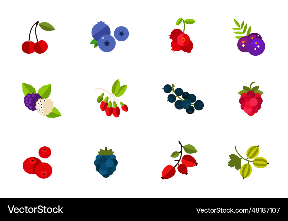 Wild and cultivated berries icon set Royalty Free Vector