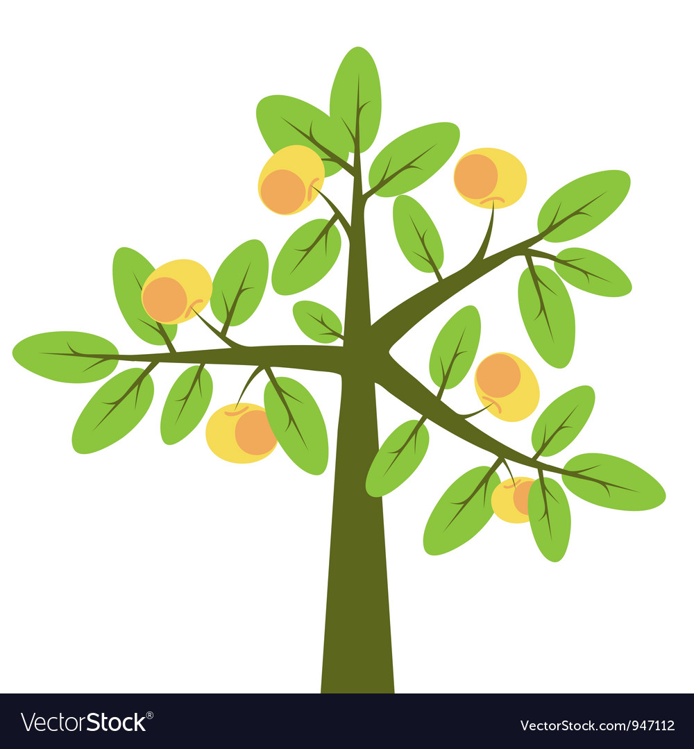 Apple tree Royalty Free Vector Image - VectorStock