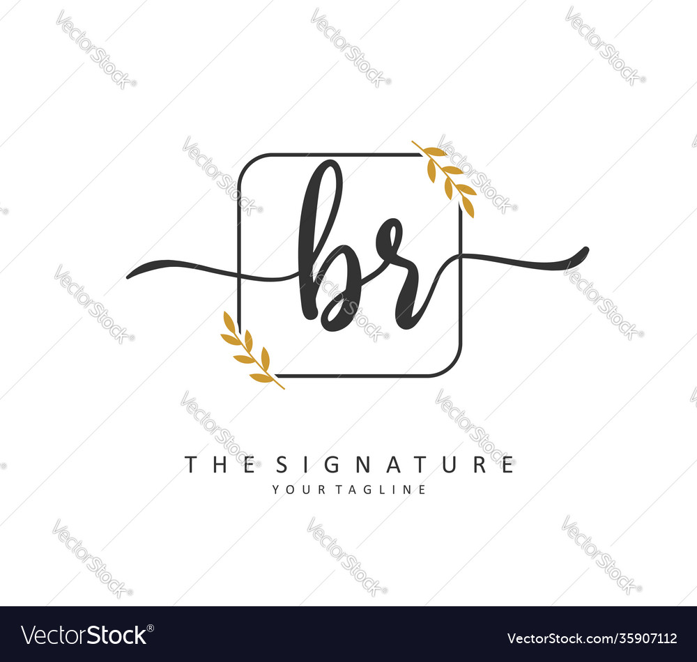 Br initial letter handwriting and signature logo Vector Image