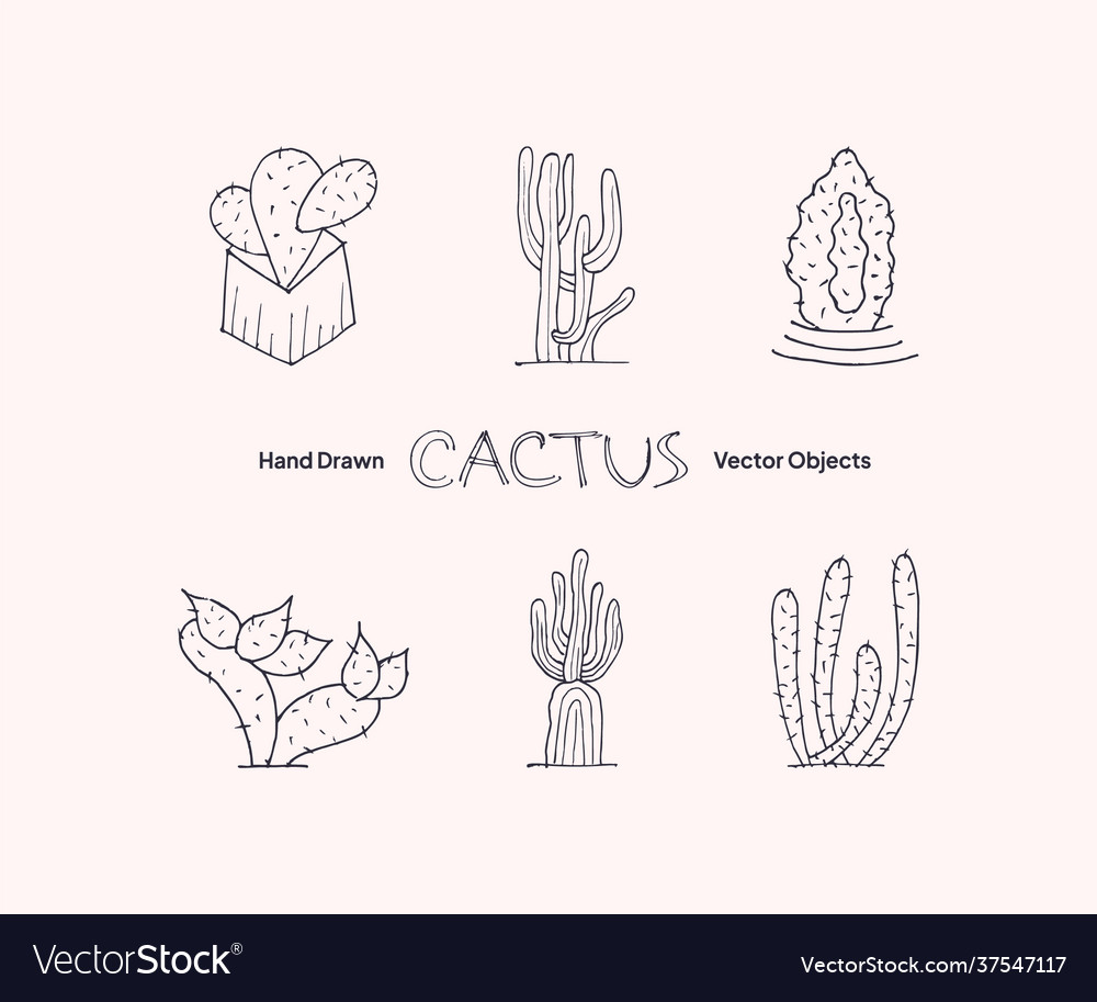 Hand drawn cactus objects collection Royalty Free Vector