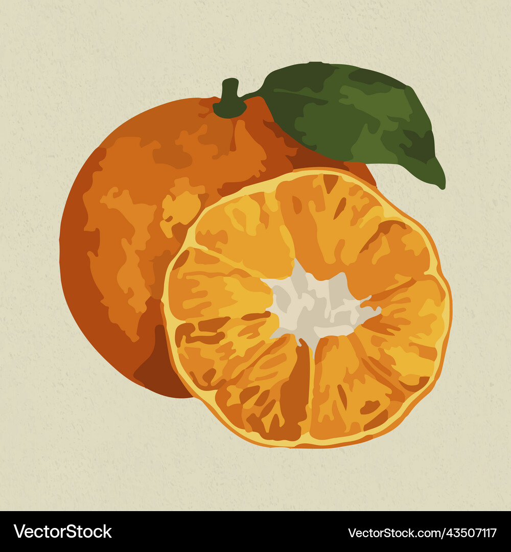 Hand drawn tangerine orange sticker design Vector Image