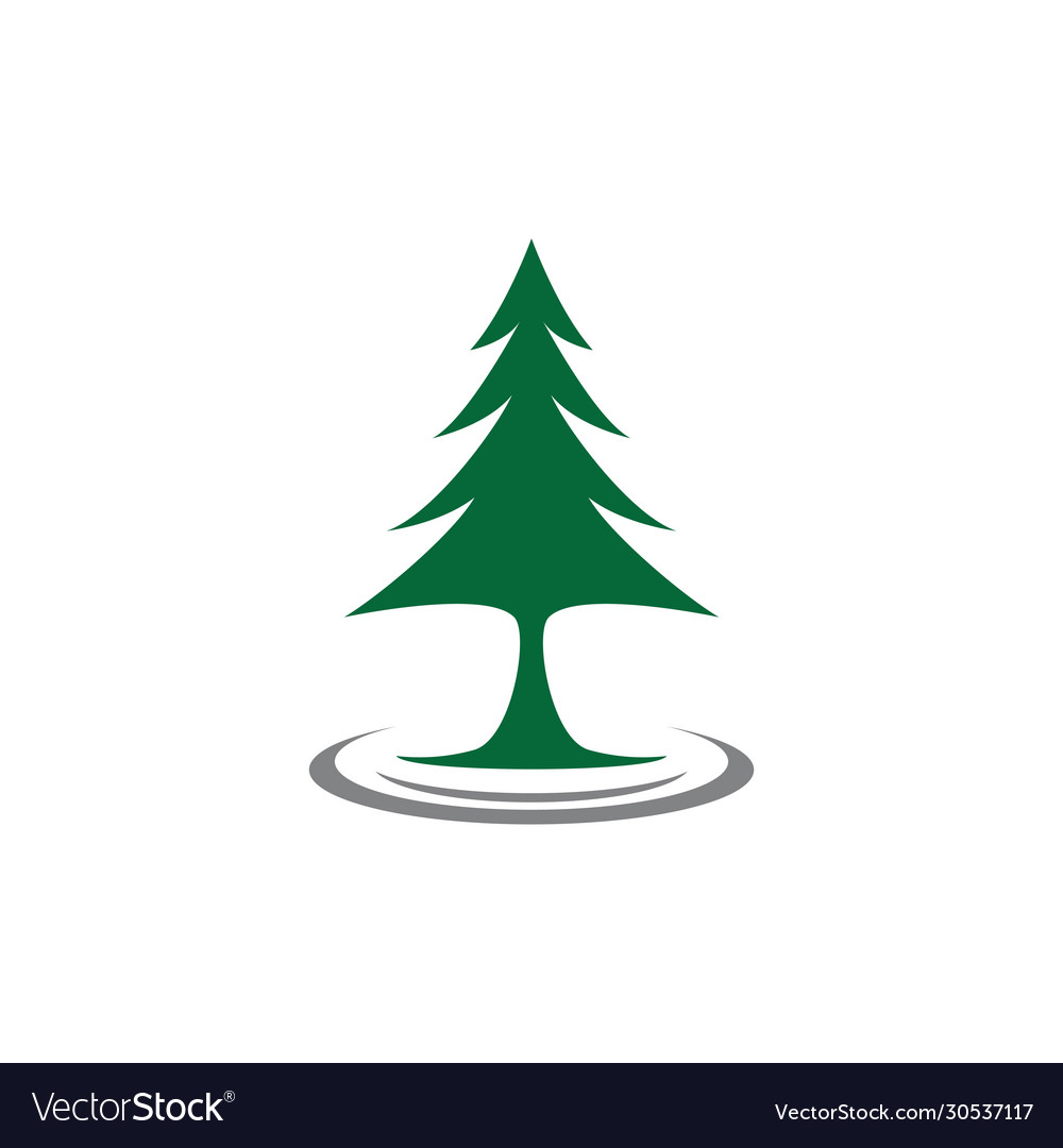 Pine tree icon Royalty Free Vector Image - VectorStock