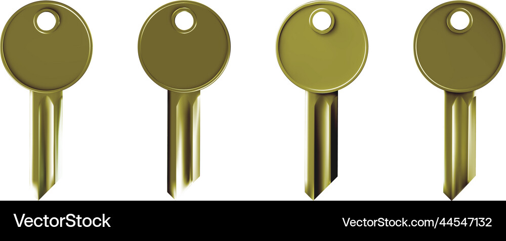 3d brass keys mockup set realistic metal Vector Image