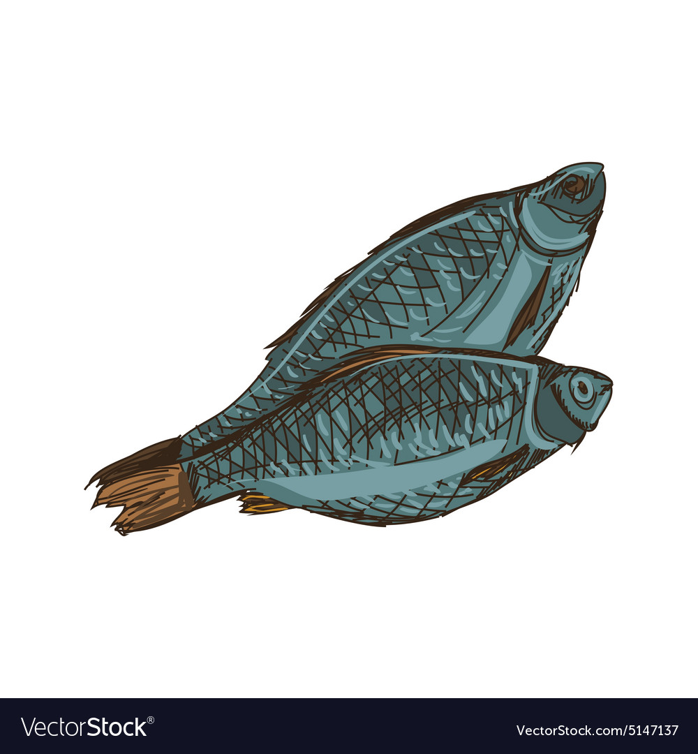 Doodle fish Royalty Free Vector Image - VectorStock