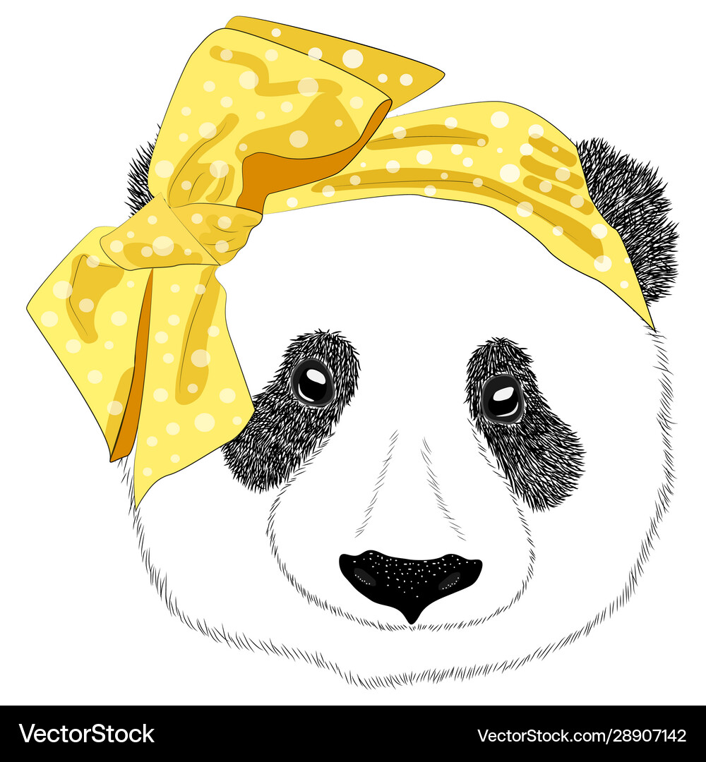 A hand drawn head panda girl Royalty Free Vector Image