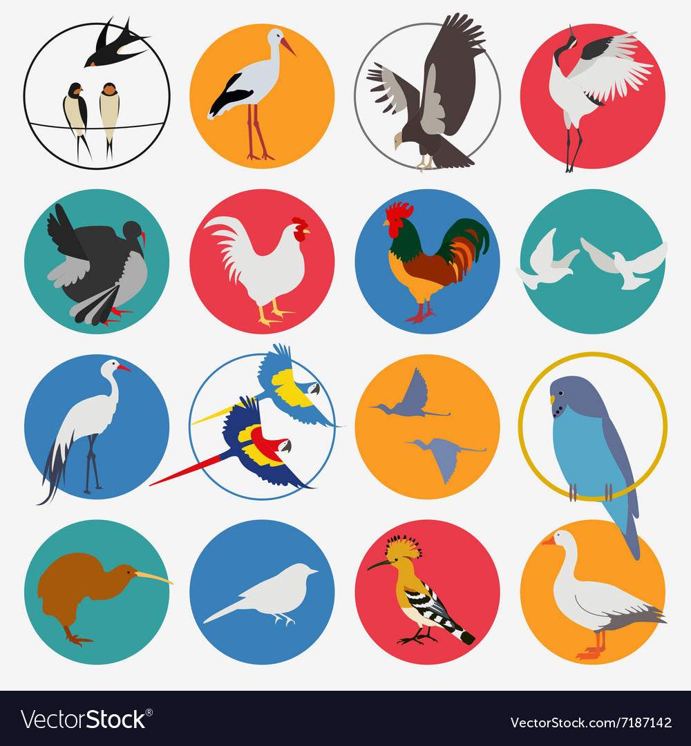 Birds icon set flat style Royalty Free Vector Image