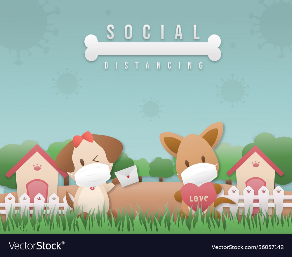 Dogs wear masks to protect covid19 viruses Vector Image