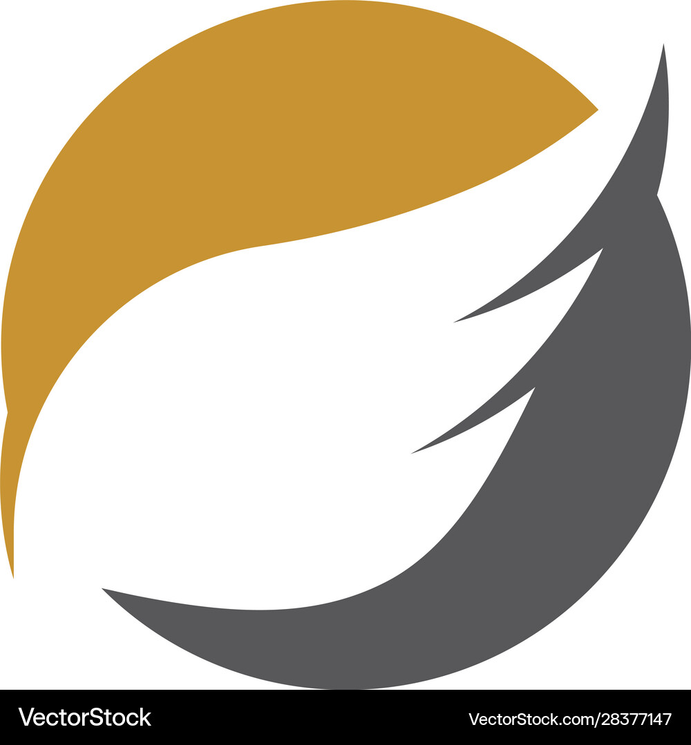 Bird wing dove logo template Royalty Free Vector Image