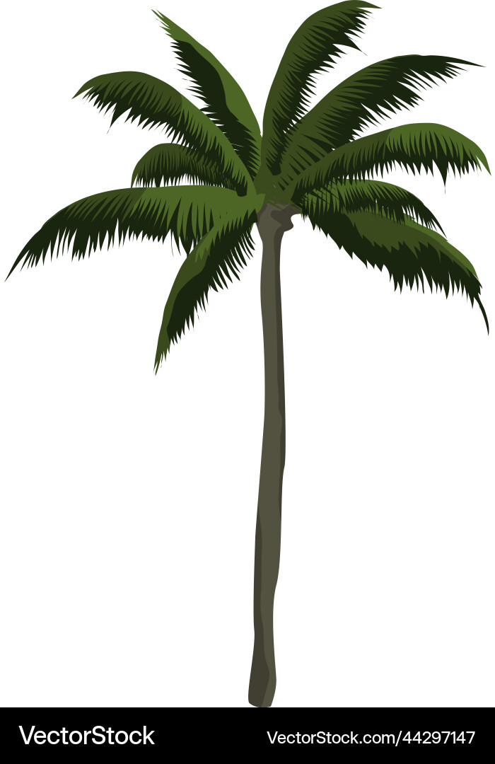 Palm icon exotic tropical tree beach symbol Vector Image