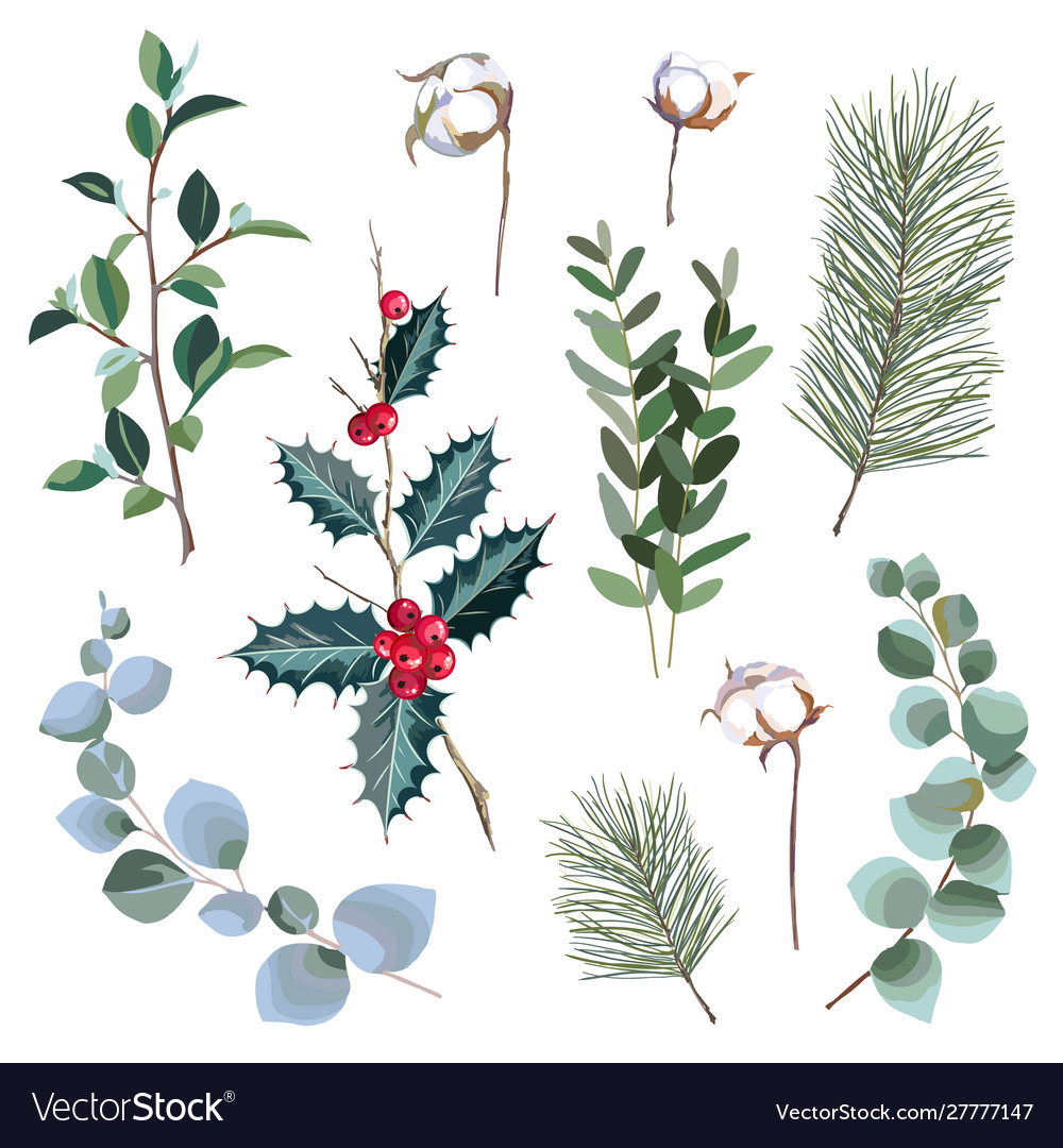 Set decorative elements Royalty Free Vector Image