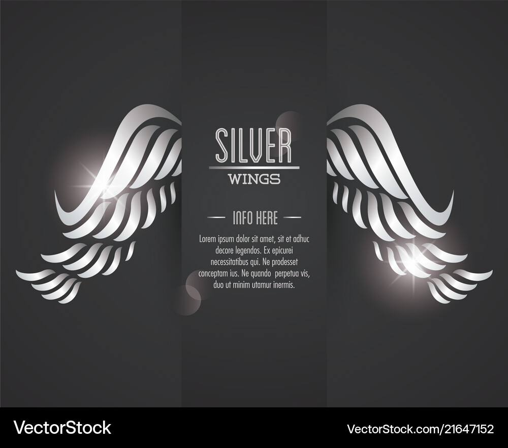 Luxury silver wings Royalty Free Vector Image - VectorStock