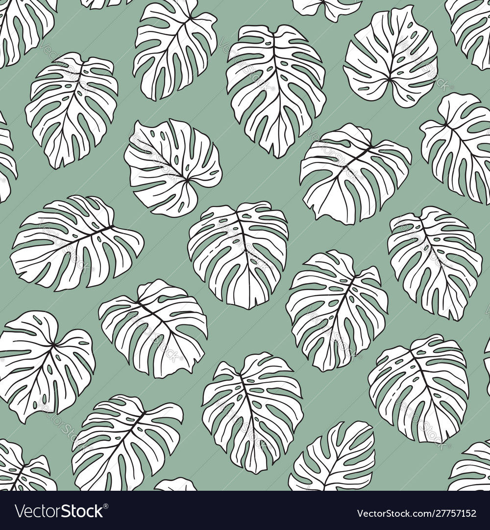 Monstera leaves pattern Royalty Free Vector Image