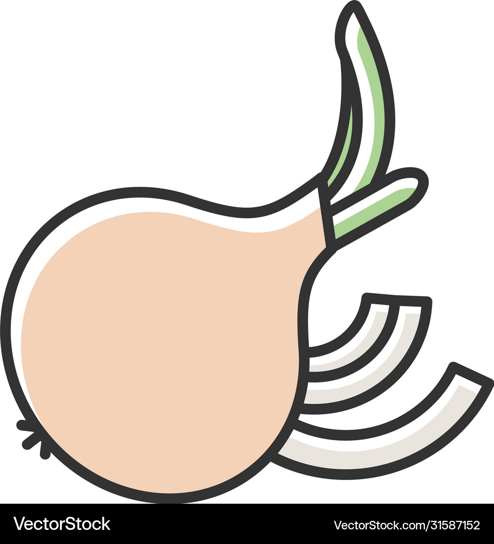 Onion rgb color icon Royalty Free Vector Image