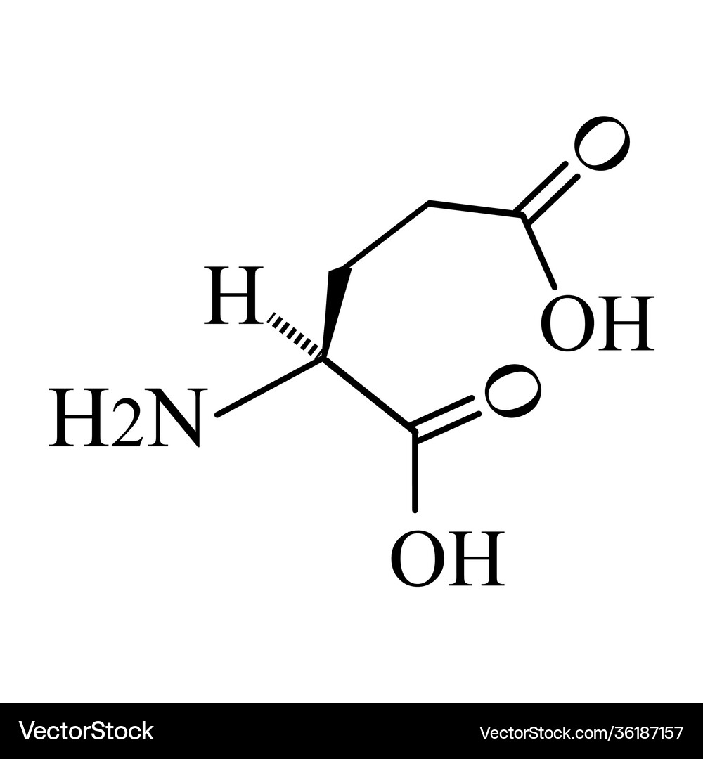 Glutamic acid is an amino chemical molecular Vector Image