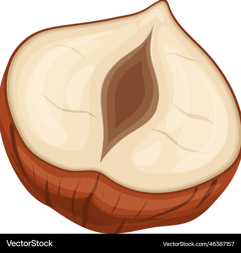 Hazelnut eat nut cartoon Royalty Free Vector Image