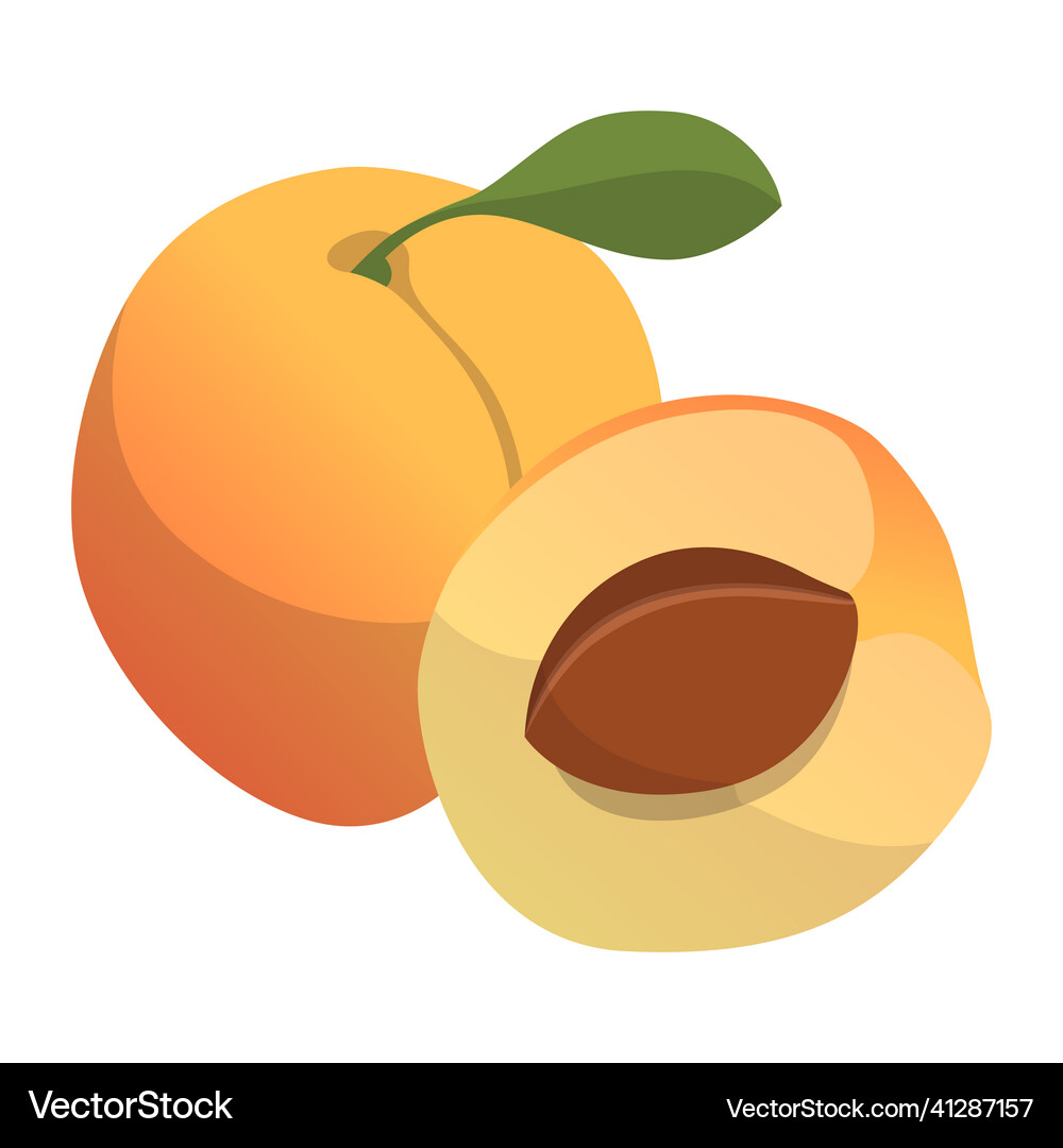Realistic fresh ripe peach isolated on white Vector Image