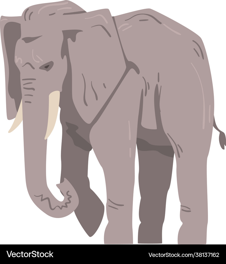Walking elephant as large african animal Vector Image