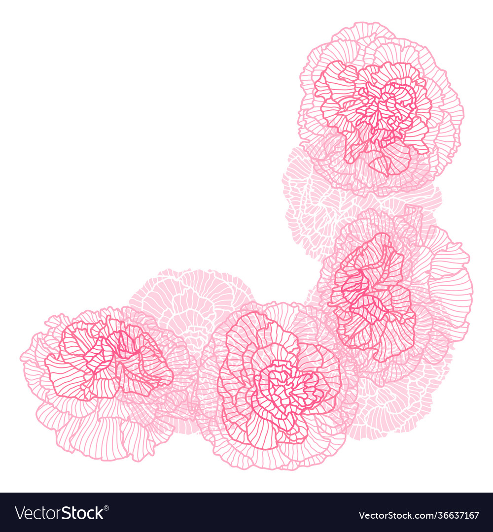 Decorative element with linear roses Royalty Free Vector