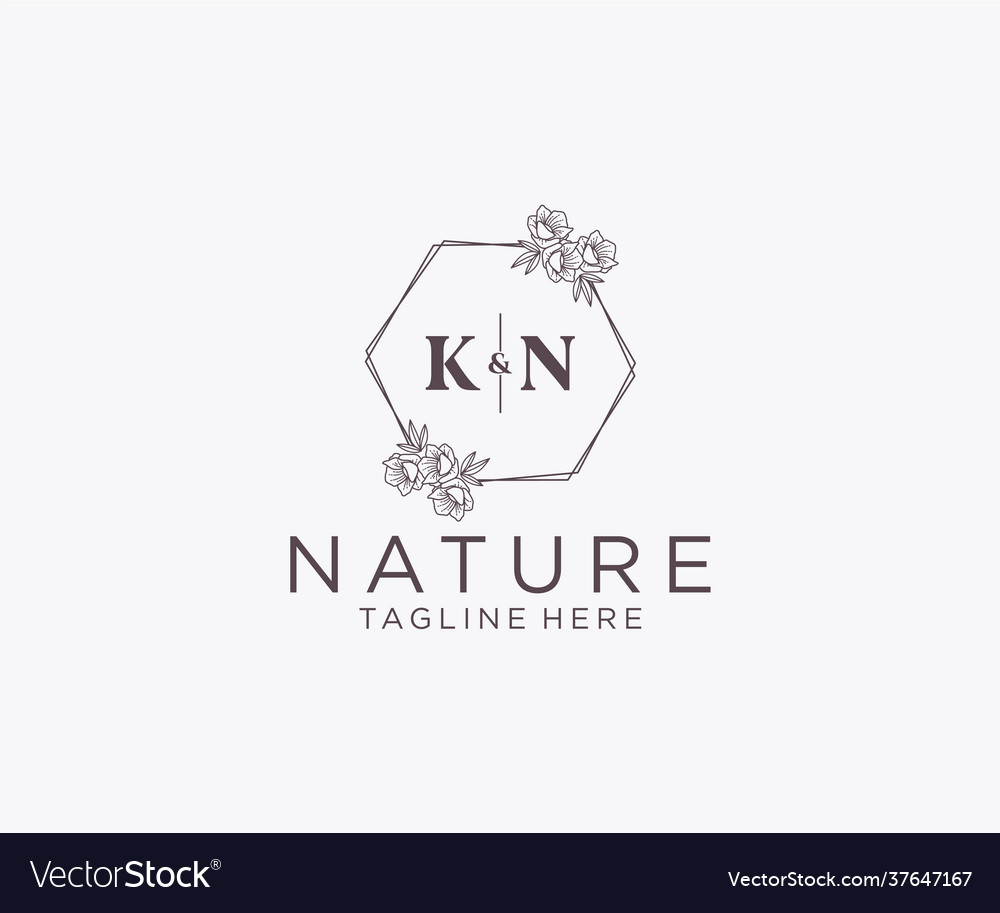 Initial kn letters floral frames botanical Vector Image Initial kn letters floral frames botanical Vector Image