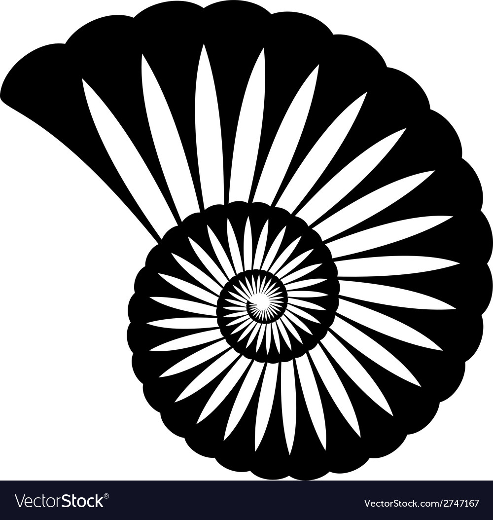 Shell silhouette Royalty Free Vector Image - VectorStock