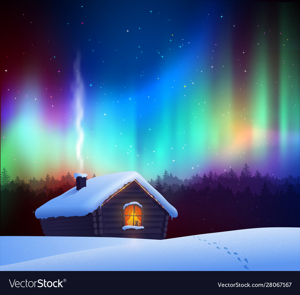 Winter night landscape Royalty Free Vector Image
